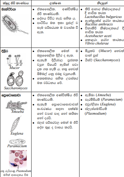 Grade 9 Science Sinhala Medium Grade 9 Science Sinhala Medium