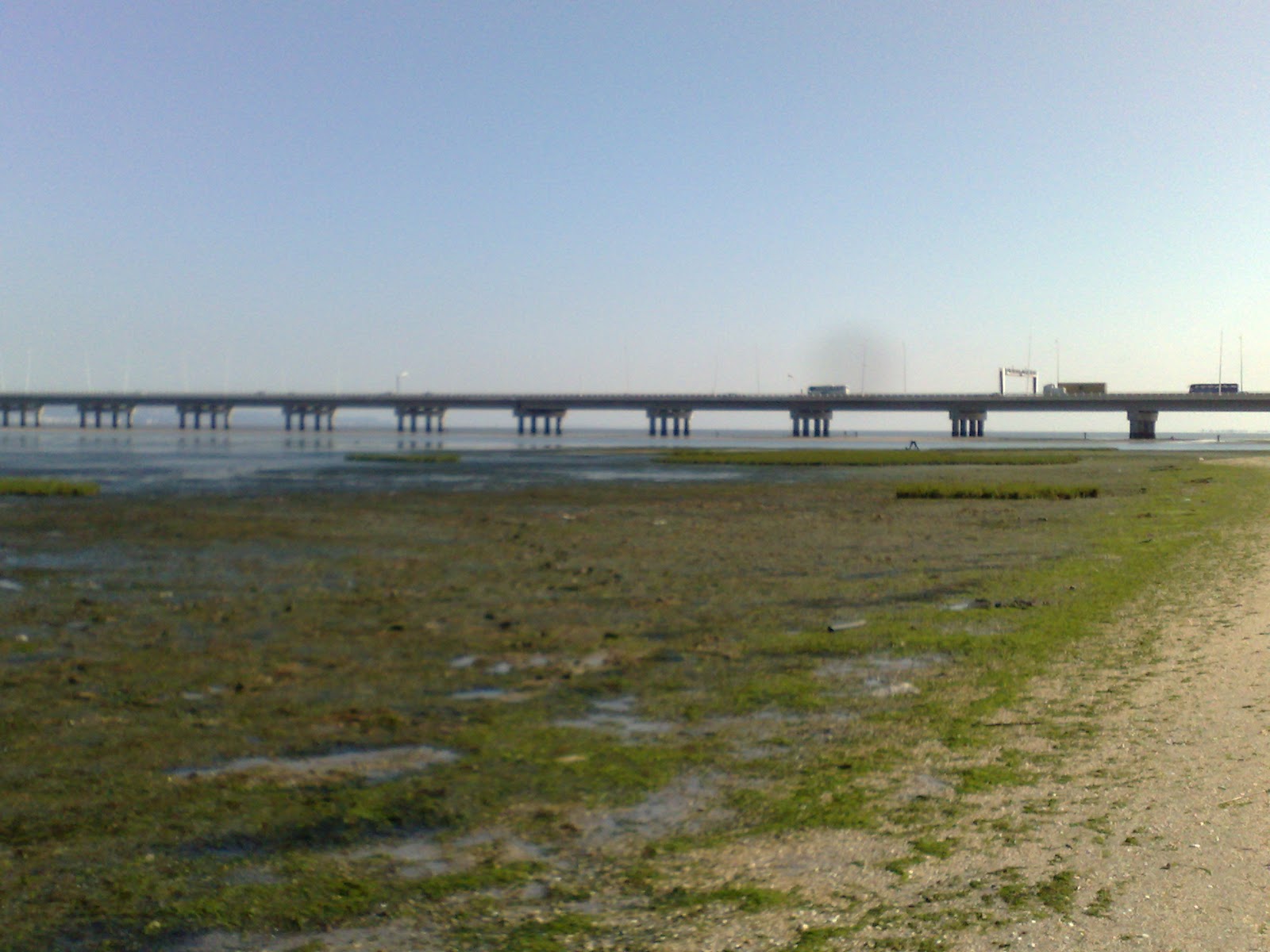Humanos somos nós!?: Praia do Samouco(Montijo).