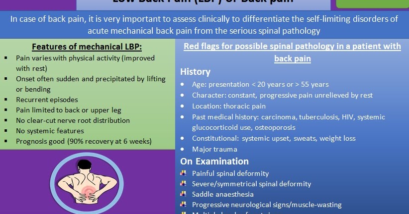 What are the causes of low back pain (LBP)
