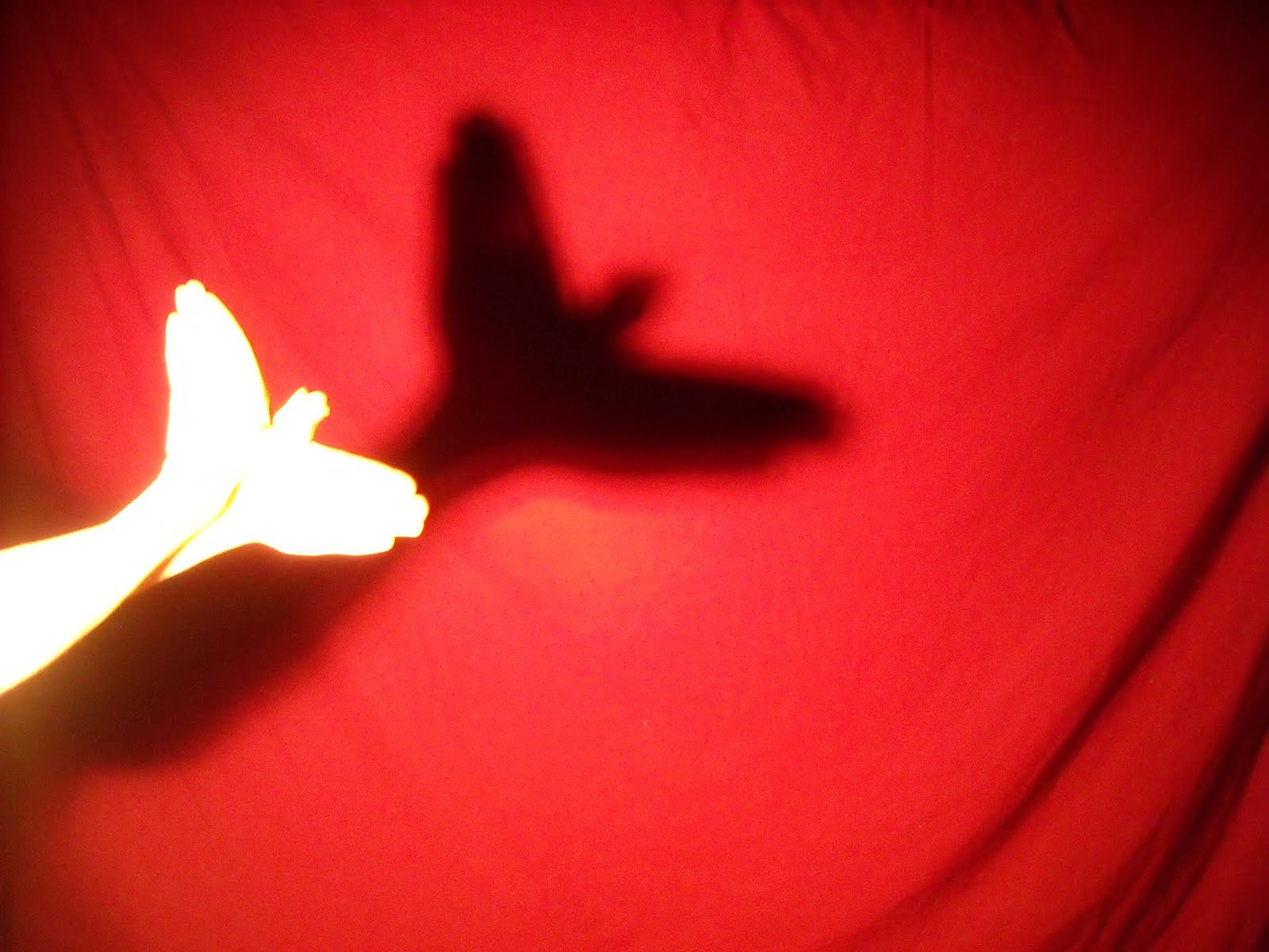 The Random Photograph: Hand Shadows