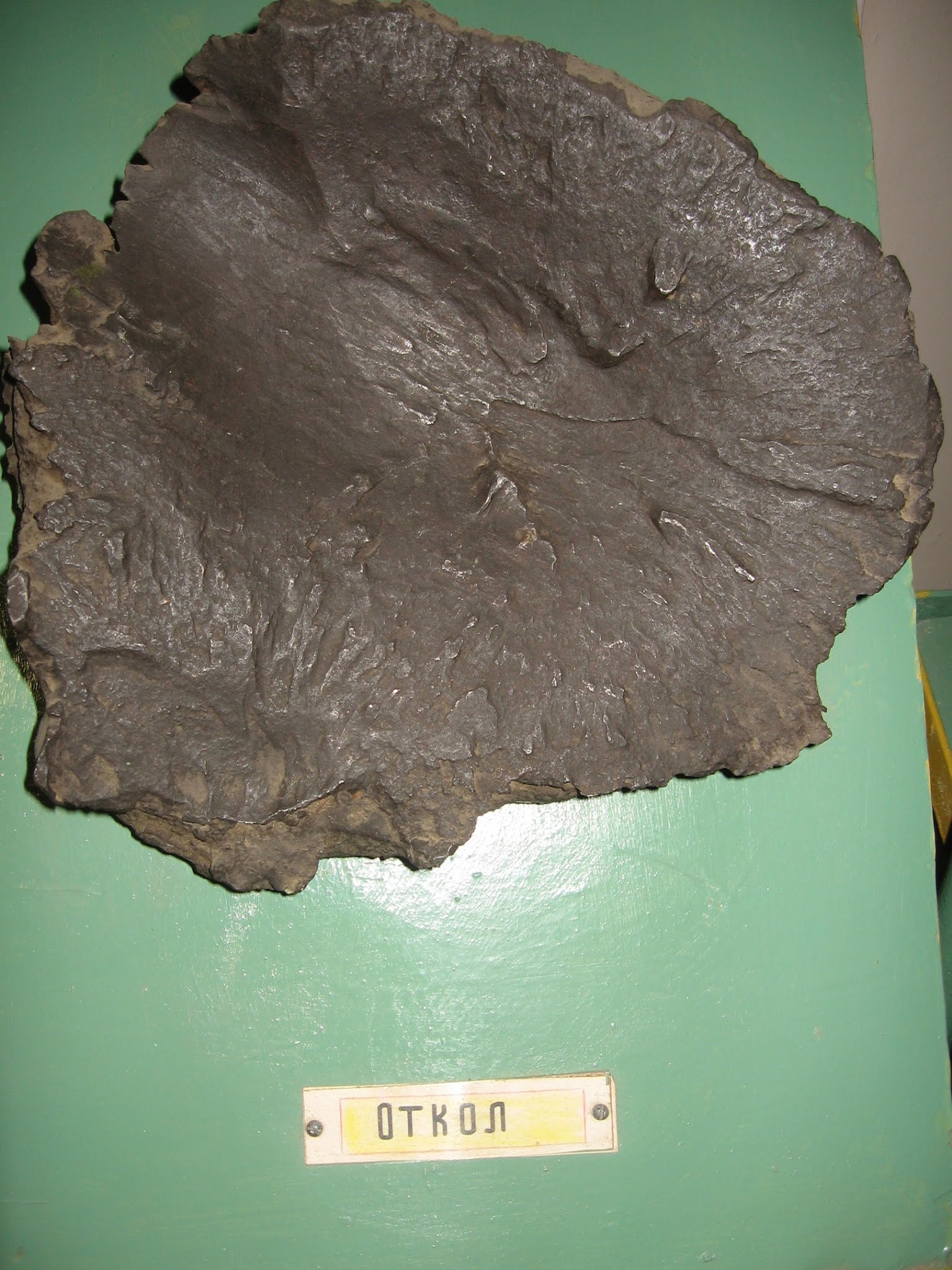 The Dead District: The effects of various type of rounds on homogeneous ...