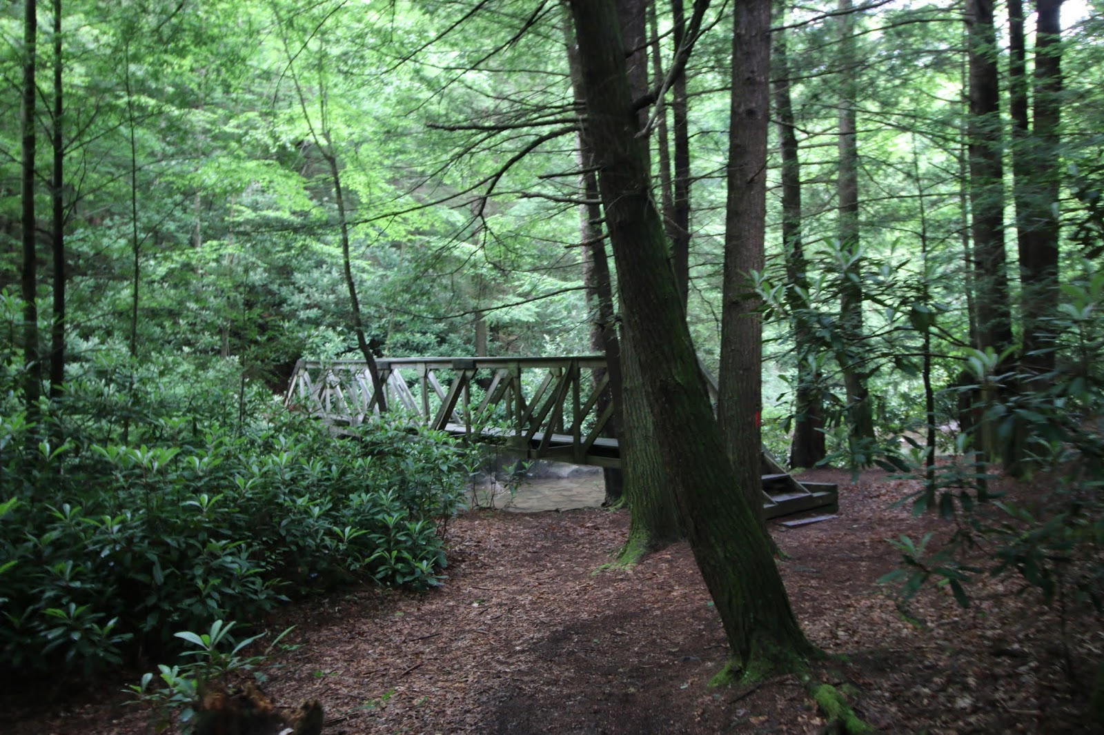 Quebec Run Wilderness Area