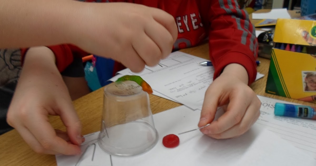 Growing a STEM Classroom: Can You Save FRED? Activity