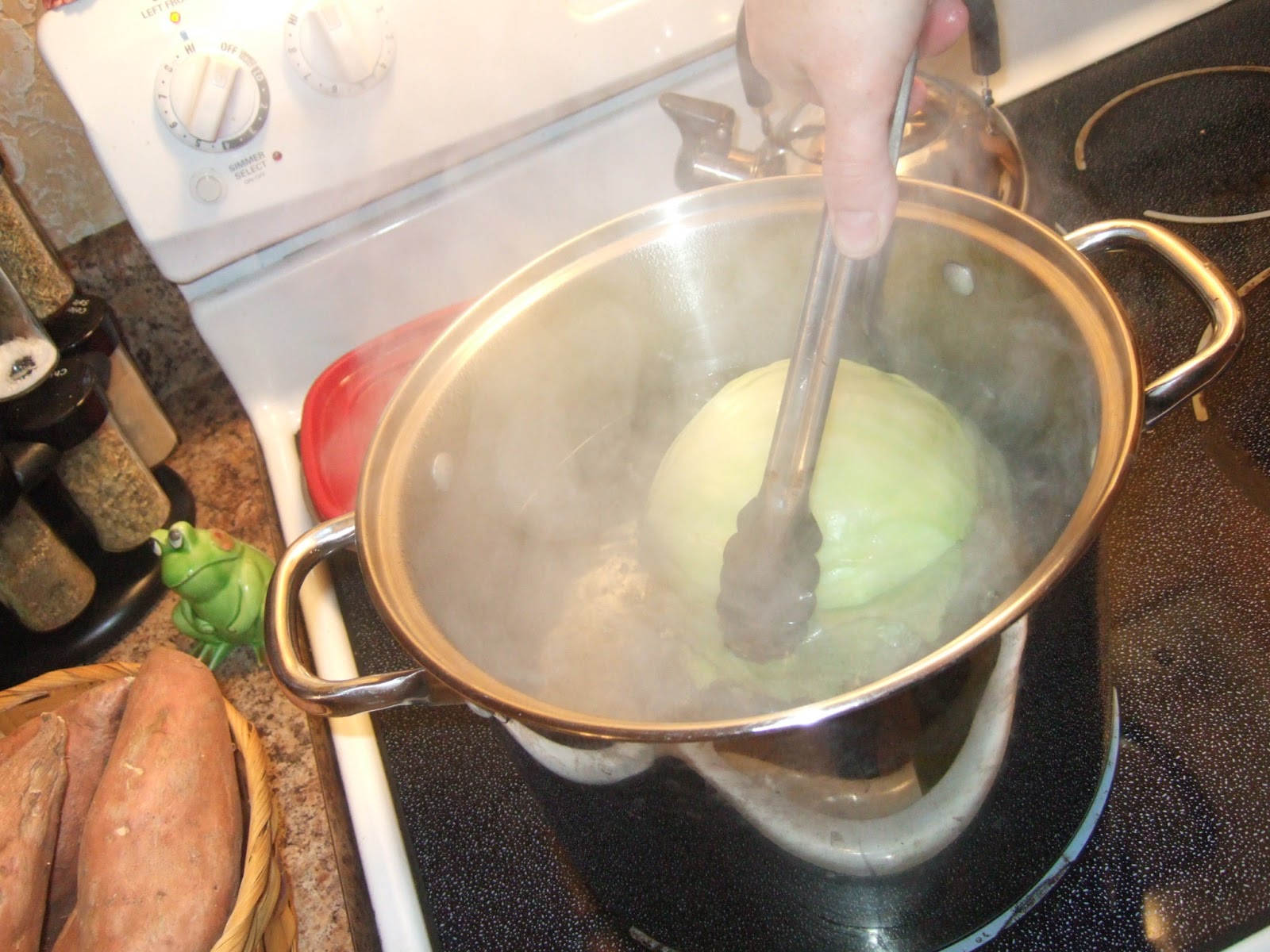 Raw Recipes: RAW CABBAGE WRAPS!