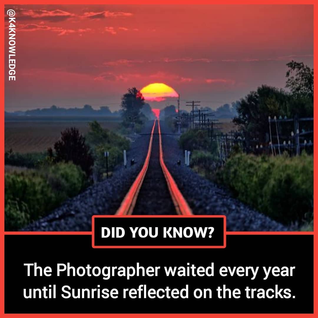 [40+] Amazing Facts, Interesting Facts