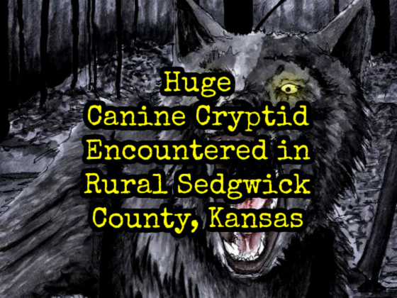 Please enable JavaScript