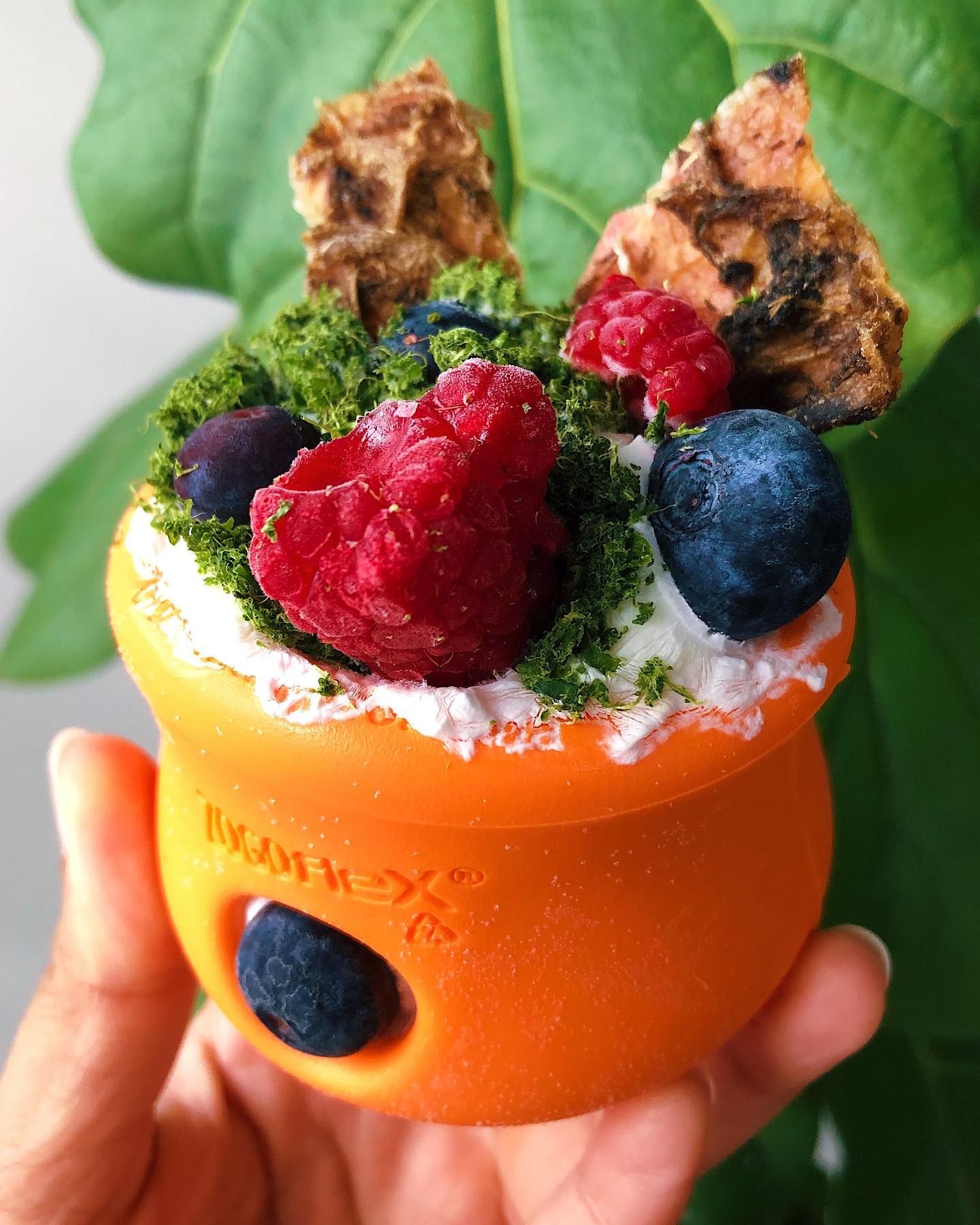 Stuffed Toppl- Green Tripe Chips & Berries | Hannah Ra