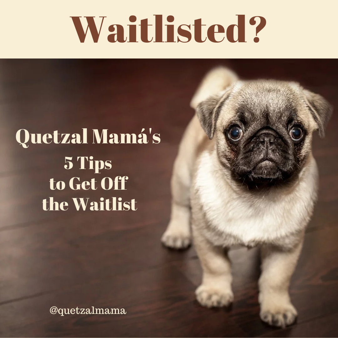 Roxanne Ocampo (Author of Nailed It! Quetzal Mama's Toolkit for Extraordinary College Essays)