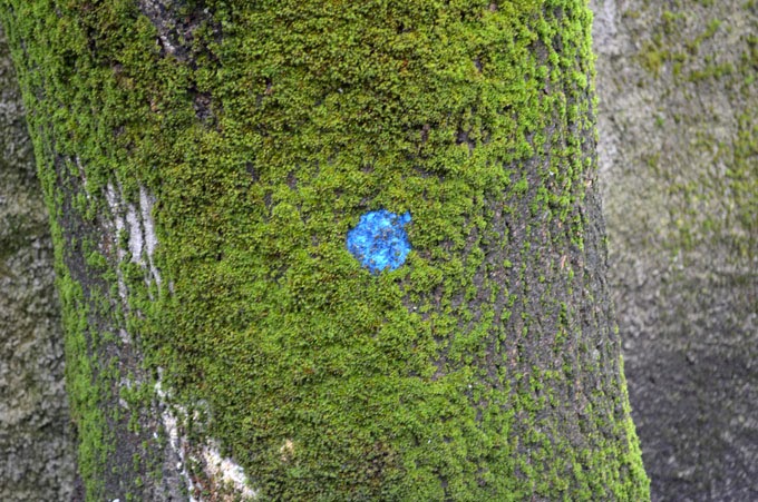 janvier 2014 | Mary & Patch