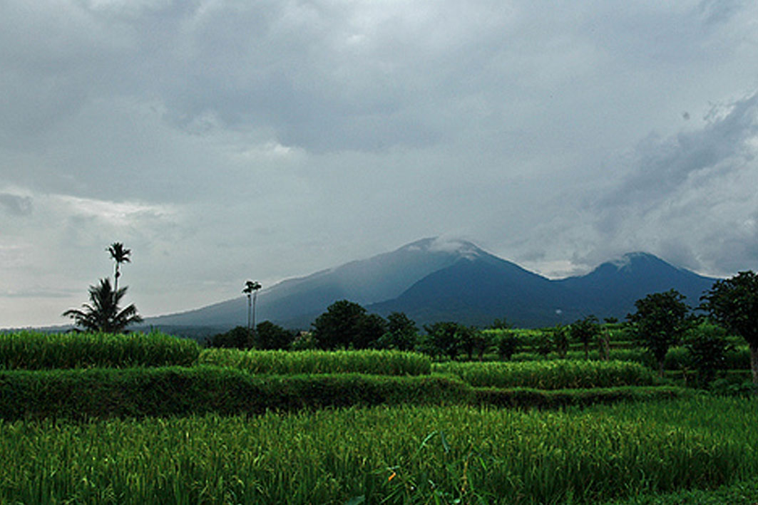 Mount Batukaru | Bali Day Trip