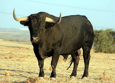 La recreacción del uro asiático.: El uro asiático.