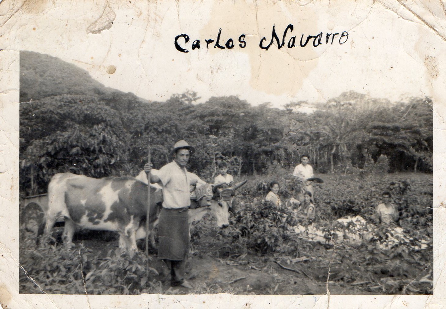 Río Azul, La Unión, Cartago, Costa Rica: Historia de Río Azul