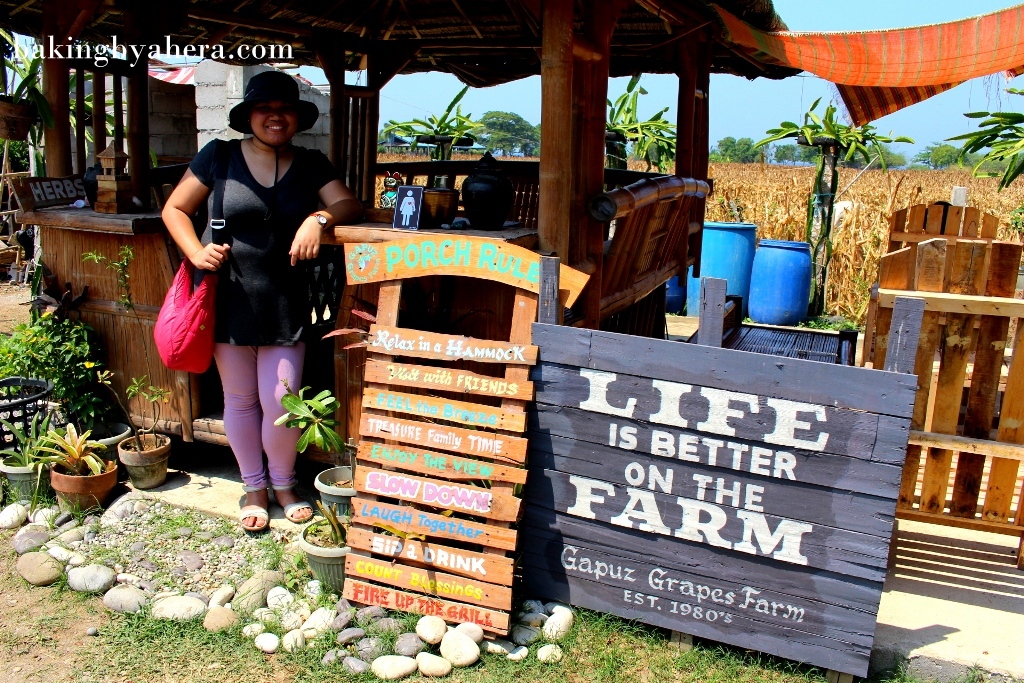 [LA UNION] GAPUZ Grapes Farm, can't believe there is a vineyard in the ...