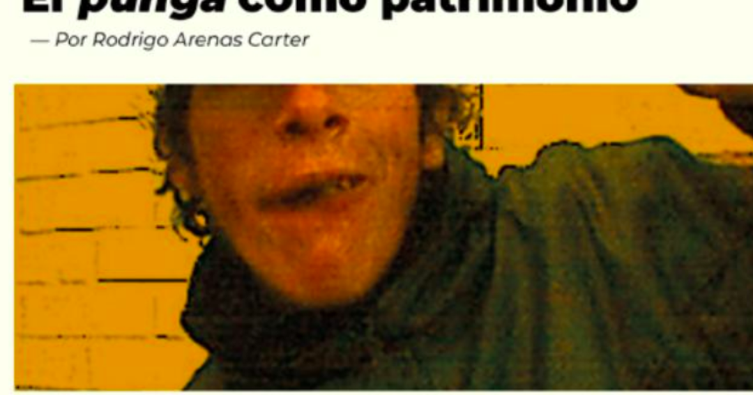 El Punga como Patrimonio