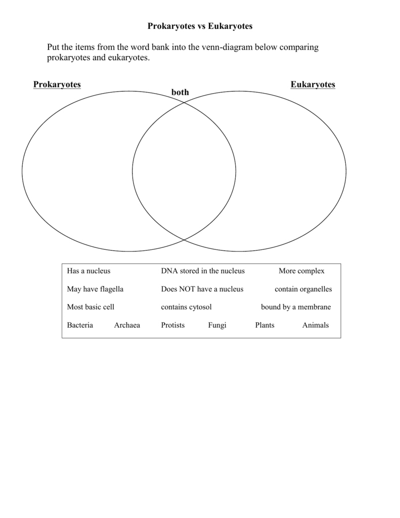 Bacteria Archaea Venn Diagram ~ Medical Resume