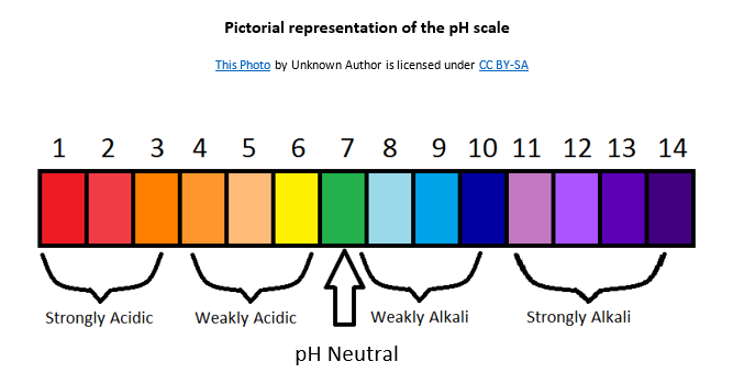 Dangriga Urban Farming Ideas: Soil pH