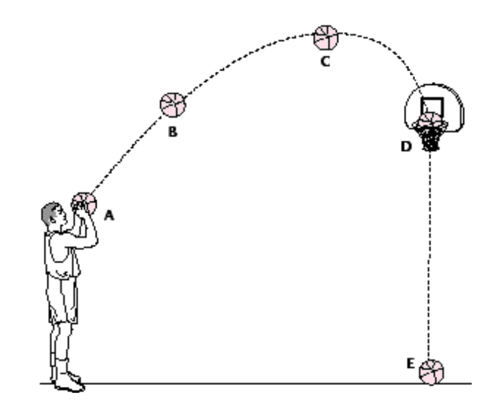 Teknik Dasar Basket: Teknik Dasar Basket pivot dan shooting