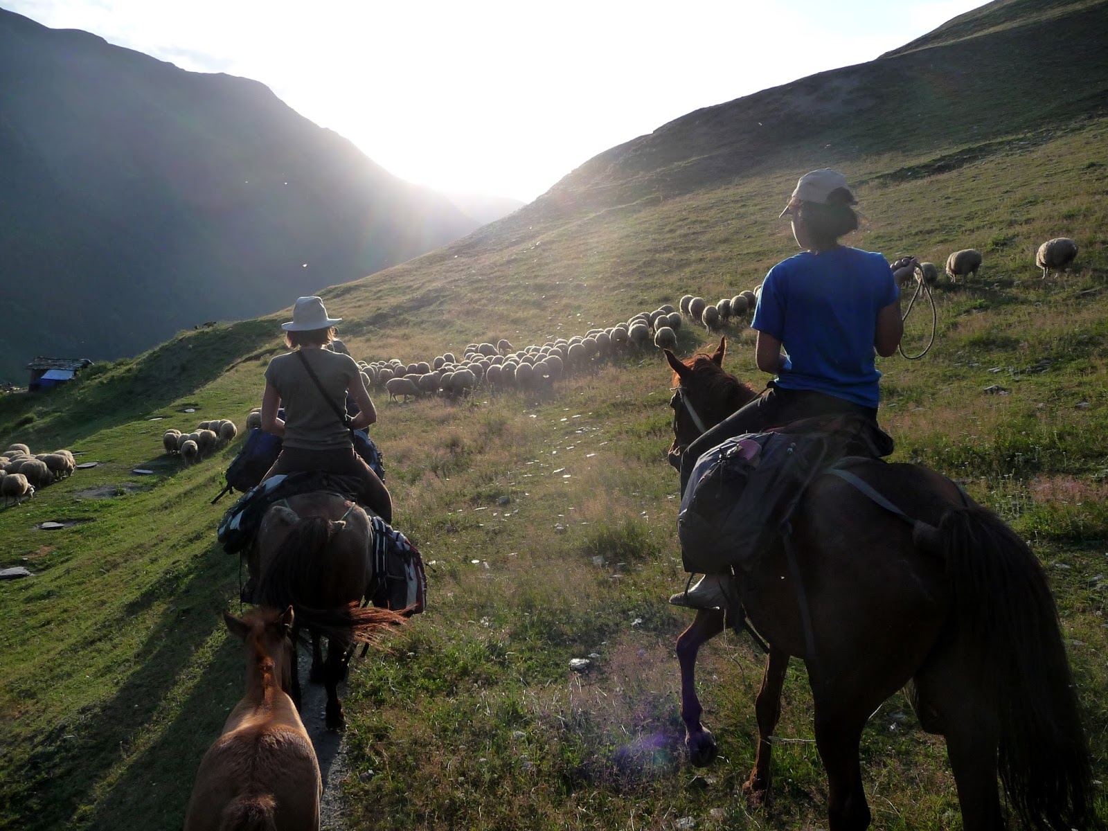 Travels in Tusheti