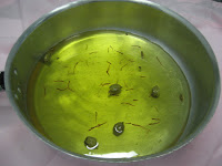 Shobha's Food Mazaa: GHEEAR / GHEEYAR ( HOLI SPECIAL )