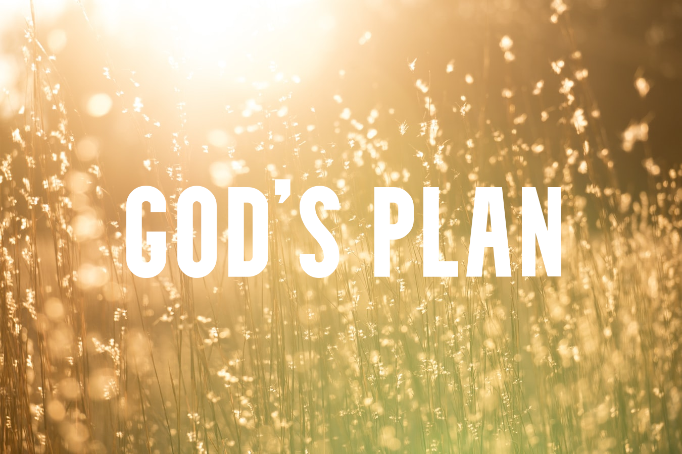Teleios: The Wonderful Plan of God: Part 2