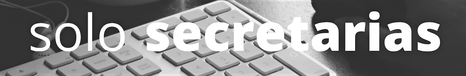 LA SECRETARIA PERFECTA