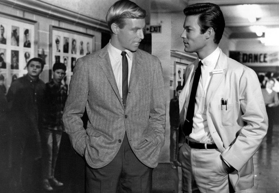 MR. NOVAK (1963-1965)