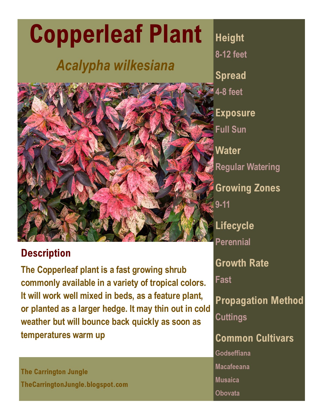 Plant Reference Sheets