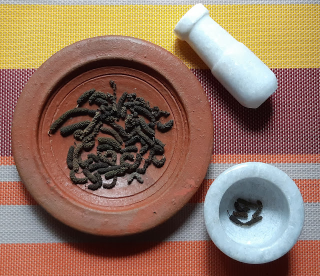 Indian Spice- Piper Longum/Indian Long Pepper/Arisi Thippili/Pipli ...