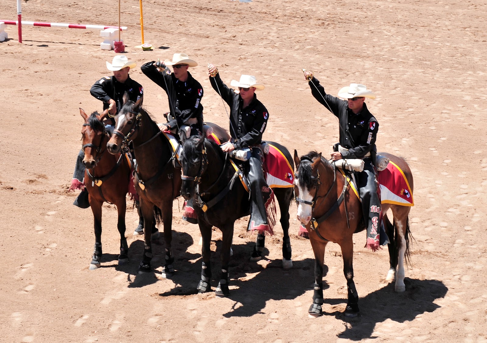 Cavalry Rider: Cavalry Heritage Day