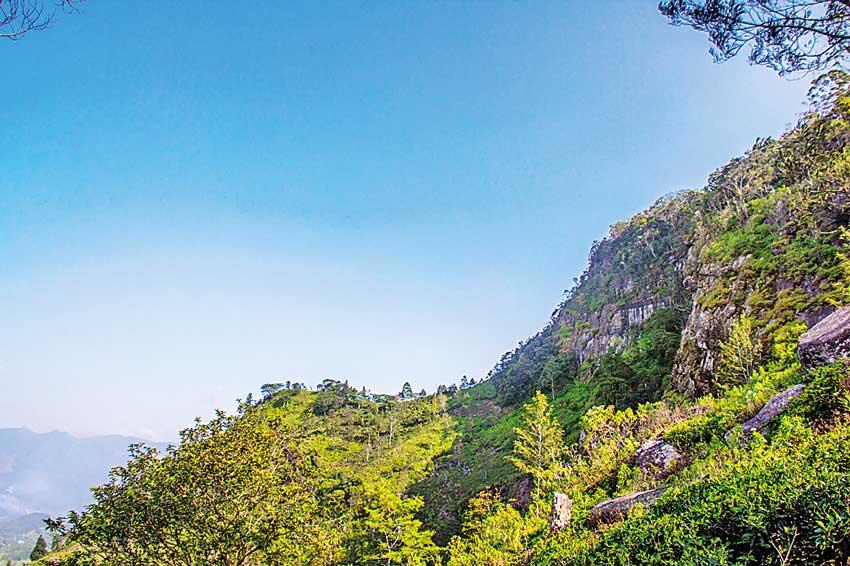 Abirahas Adawiya ....(මුල් පිටුවට පිවිසෙන්න මෙතනින් ) [HOME] : බෙරගල ...