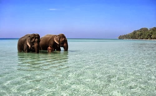 Beautiful Car Nicobar Islands - The Traveller