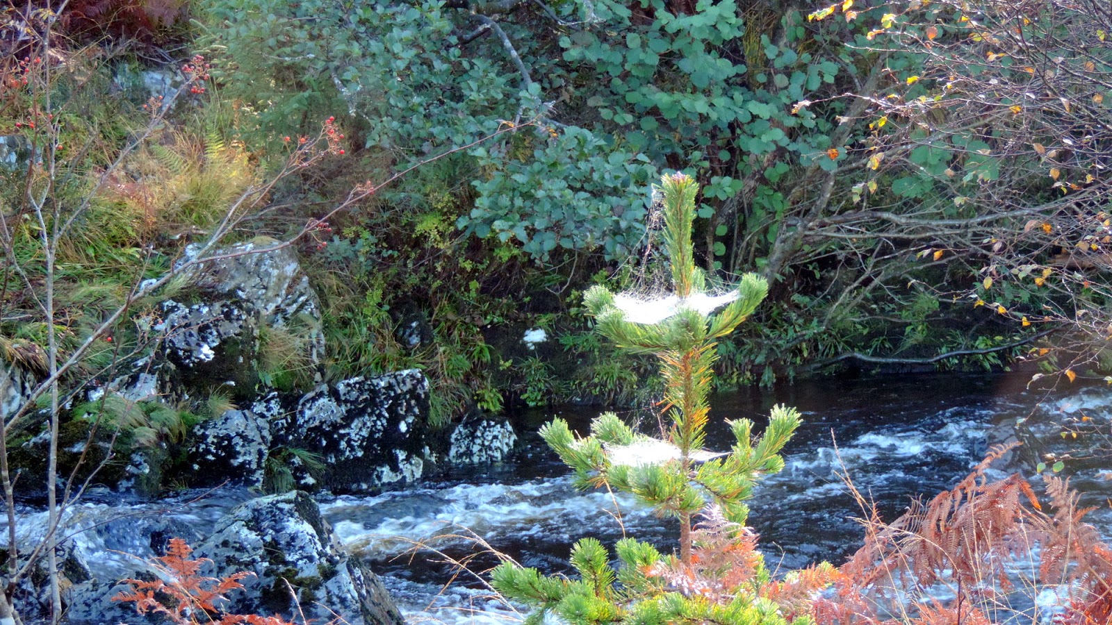 The Glebe Blog: The Water of Minnoch - Roman Brig