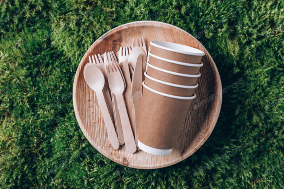 ¿POR QUÉ USAR UN ENVASE BIODEGRADABLE?