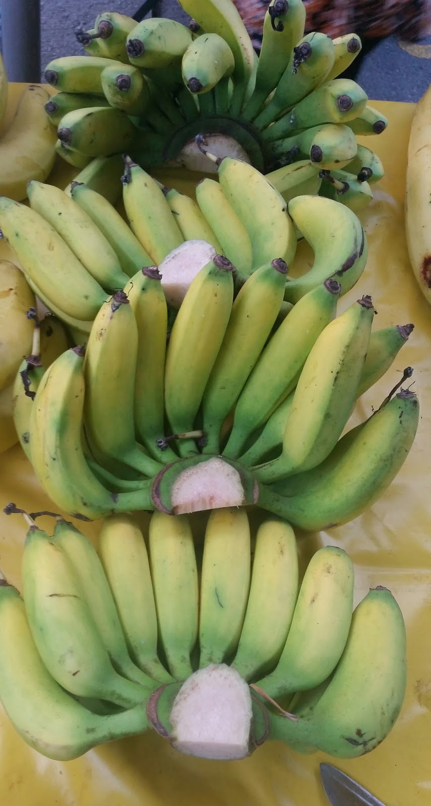 Warisan Petani: Tanaman Pisang 7 : Pokok Pisang Lilin.