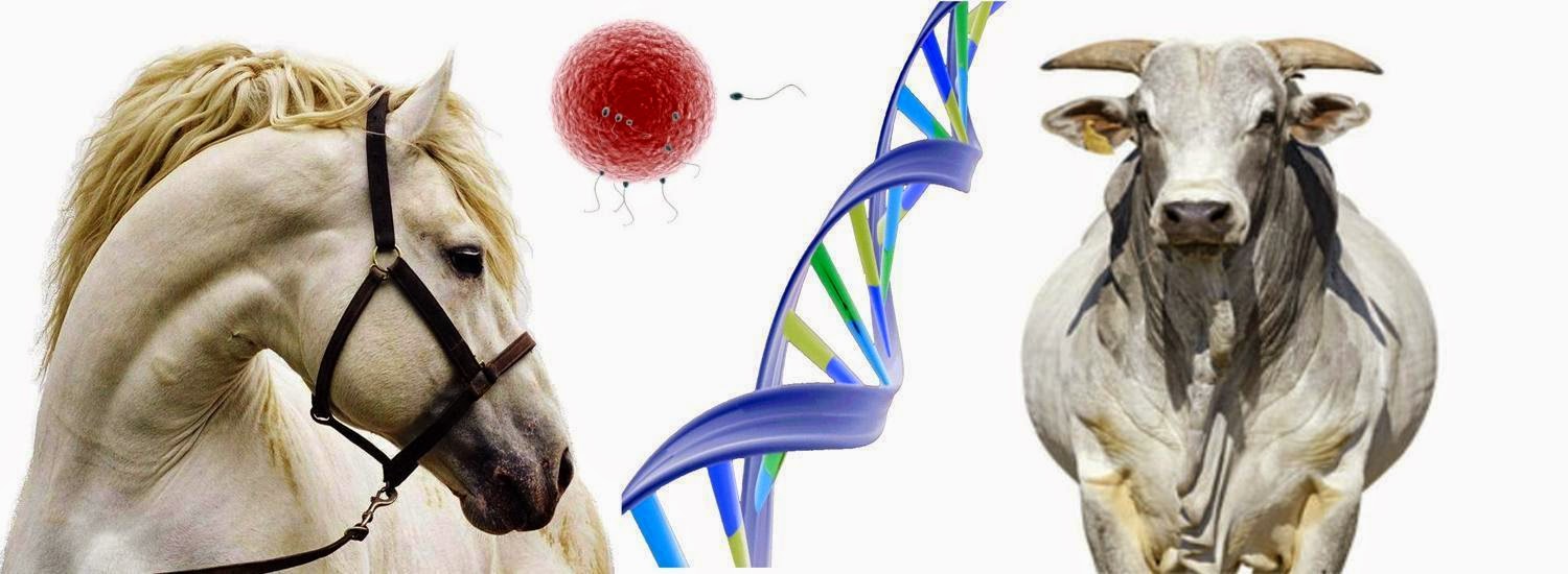 Genética na Zootecnia