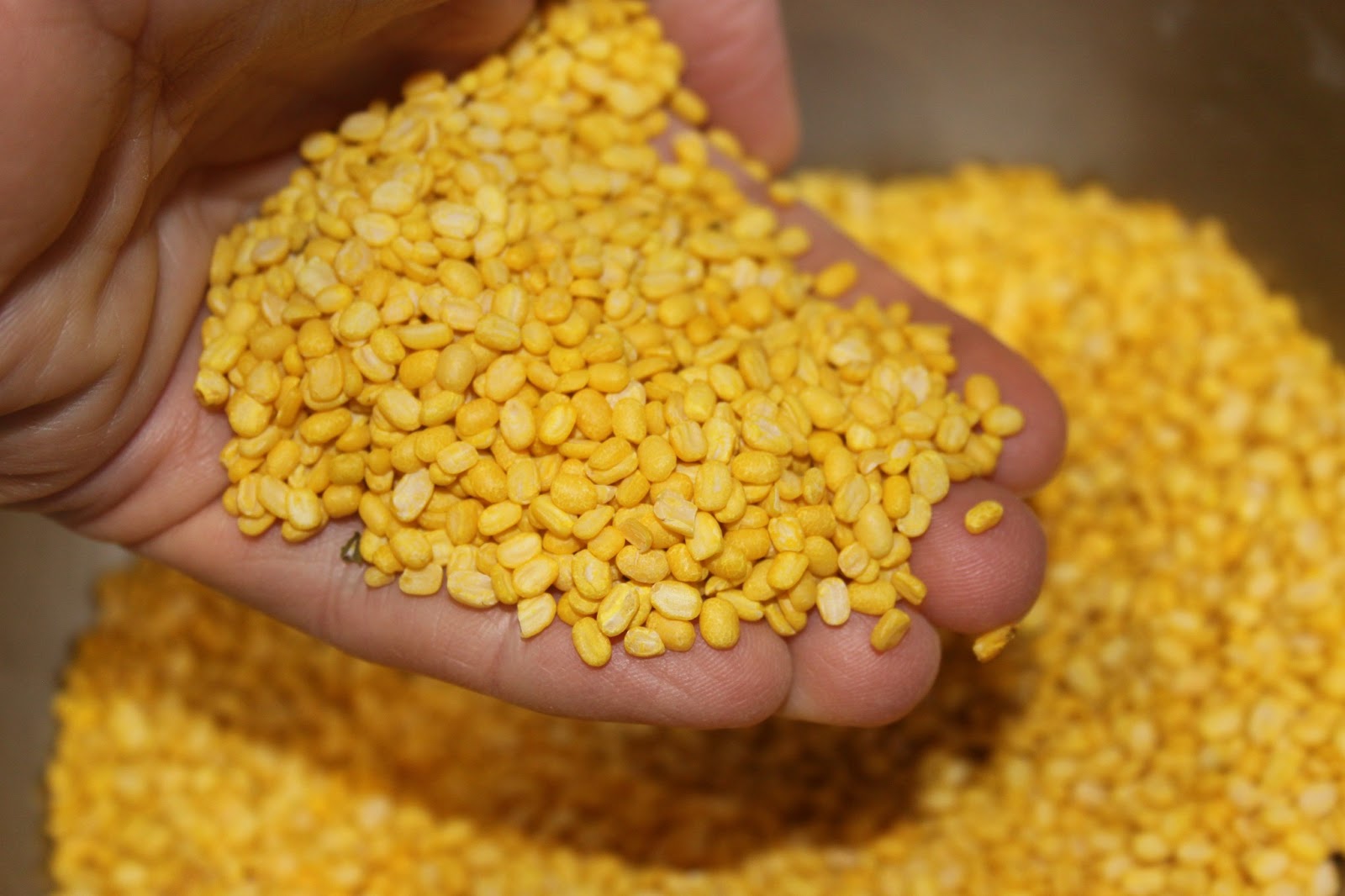 Korean Pancakes with Mung Beans and Chives - La cuisine de Bernard