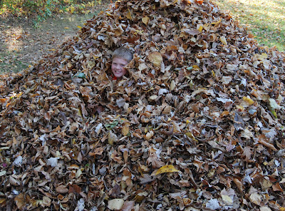 a blonde and 3 boys: Biggest Leaf Pile..EVER!