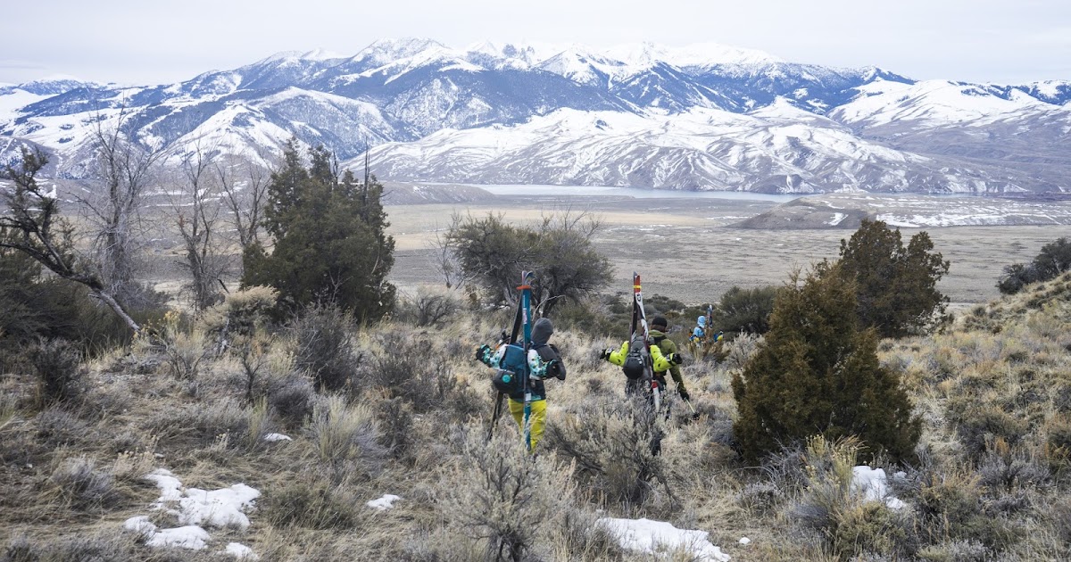 the plural of danish: Super Gully