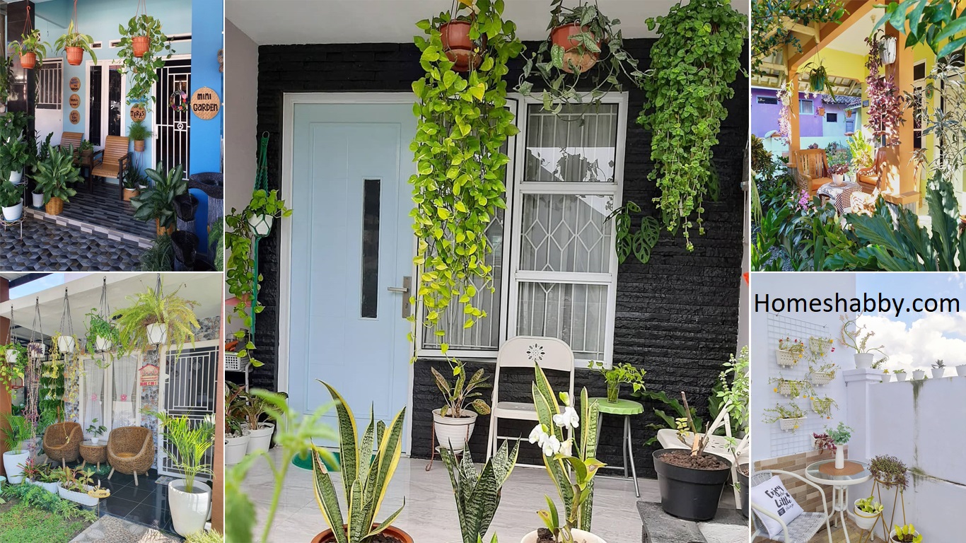 7 Jenis Tanaman Bunga Gantung Tahan Panas Paling Cantik dan Unik, Untuk ...