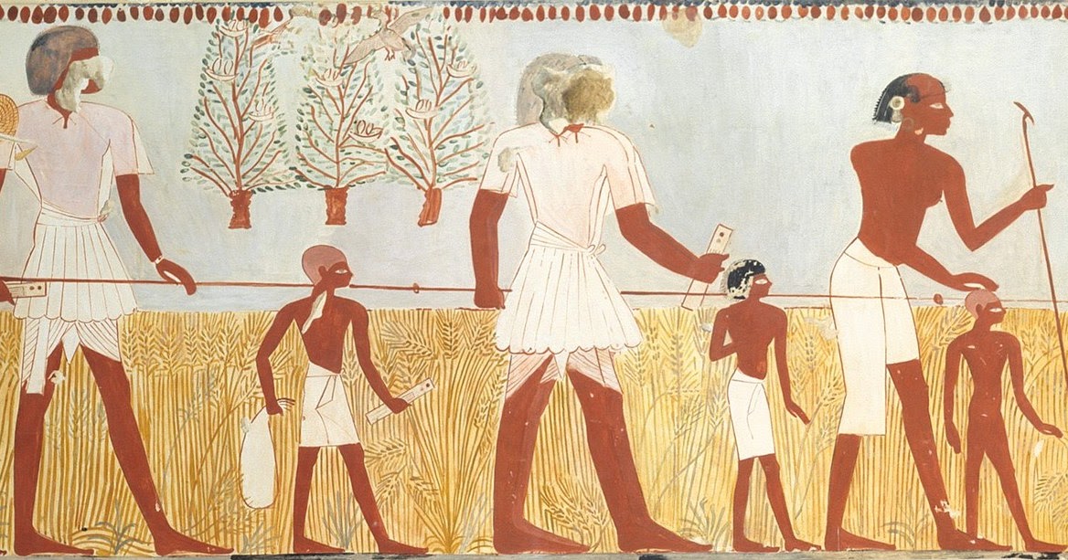 The History Man: Farming in Ancient Egypt