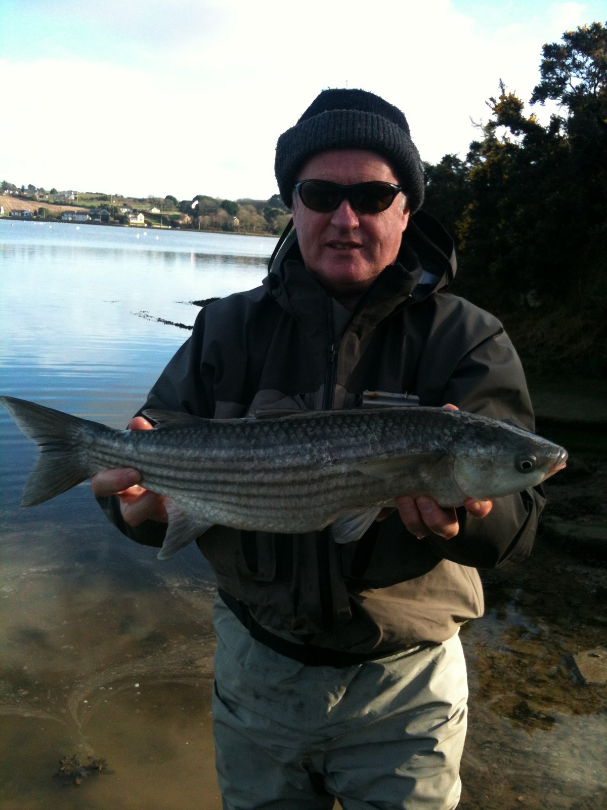 Mullet on Fly Jan 2013