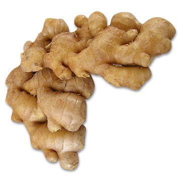 Ginger or ginger root - Luya in Philippine - Cooking Signature