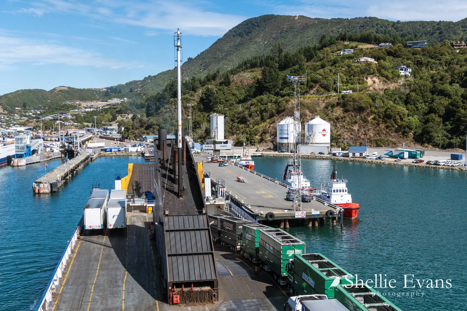Two Go Tiki Touring: Bluebridge- Crossing Cook Strait