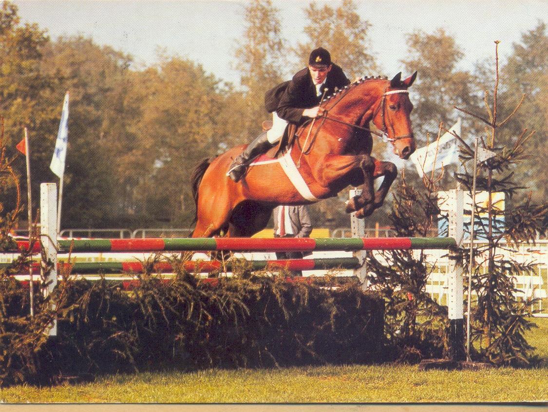 My Picture Postcards: Show jumping