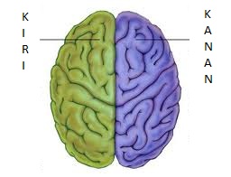 Adinda Zahra: Otak Kanan dan Kiri