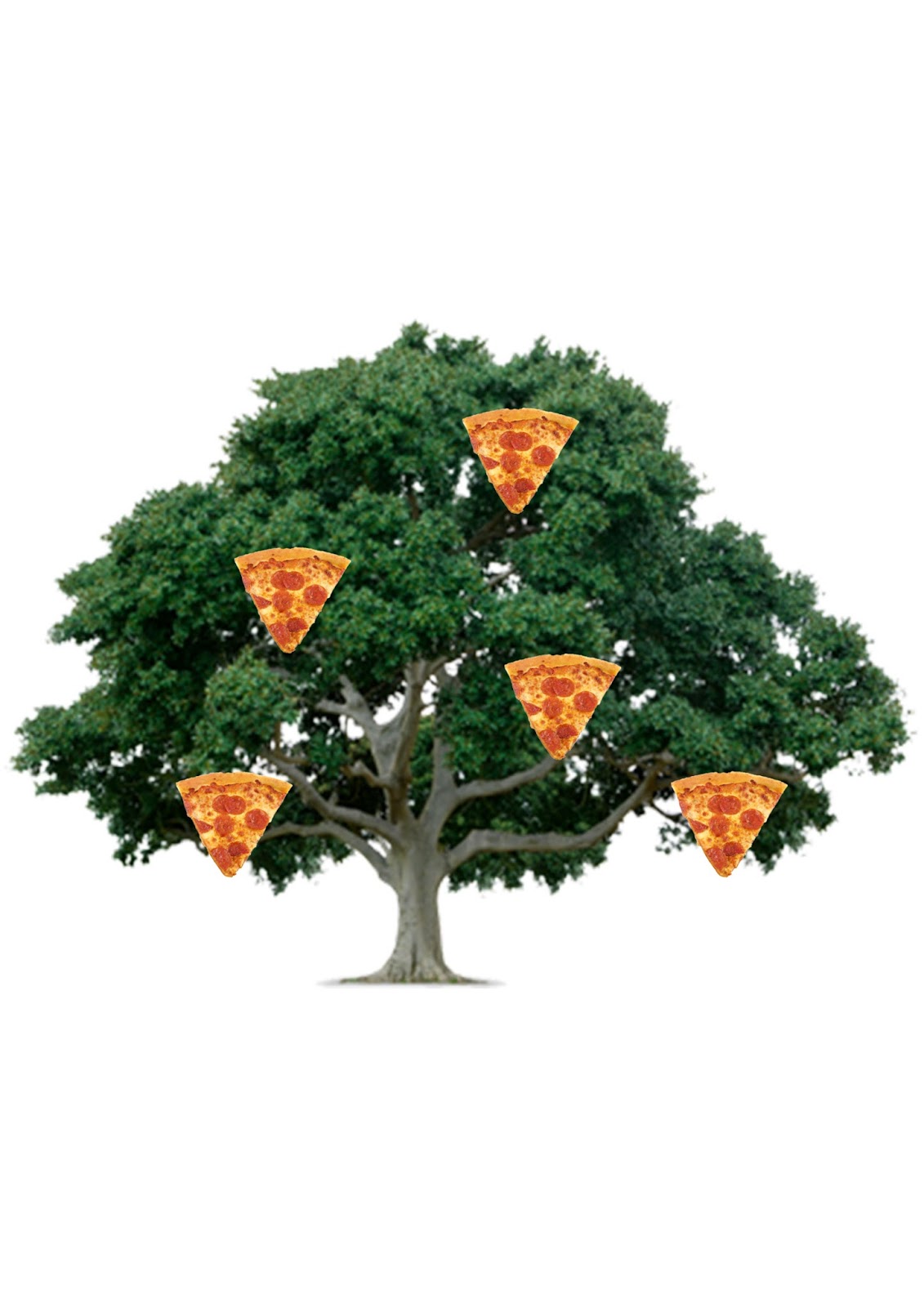 Sammy's CWC Media Blog: Photoshop