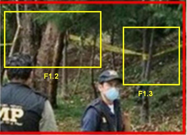 CANDIDATOS PRESIDENCIALES: Asesinato de Abogado Rodrigo Rosenberg Parte II