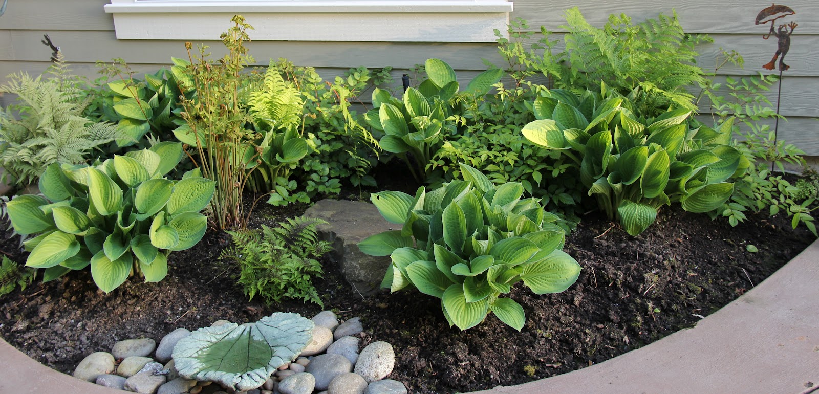 Debbie Angel's Garden: Ferns, astilbe, and hosta in shade garden