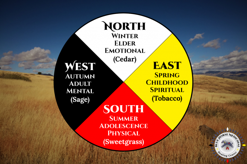 ECUR 386 SPRING 2019: First Nations, Metis, and Inuit Content and ...